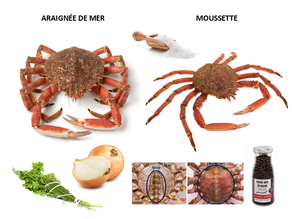 Comment Cuire Une Araign e De Mer Les D lices De Sylvie fr Comment Cuire Une Araign e De Mer Les D lices De Sylvie fr